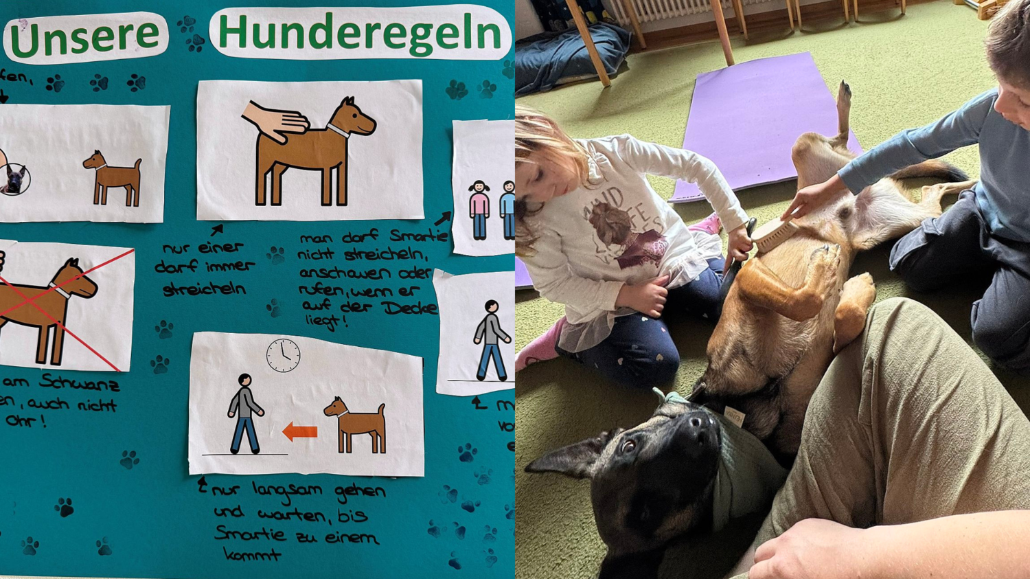 Therapiehund Smartie bringt neuen Schwung in Kita